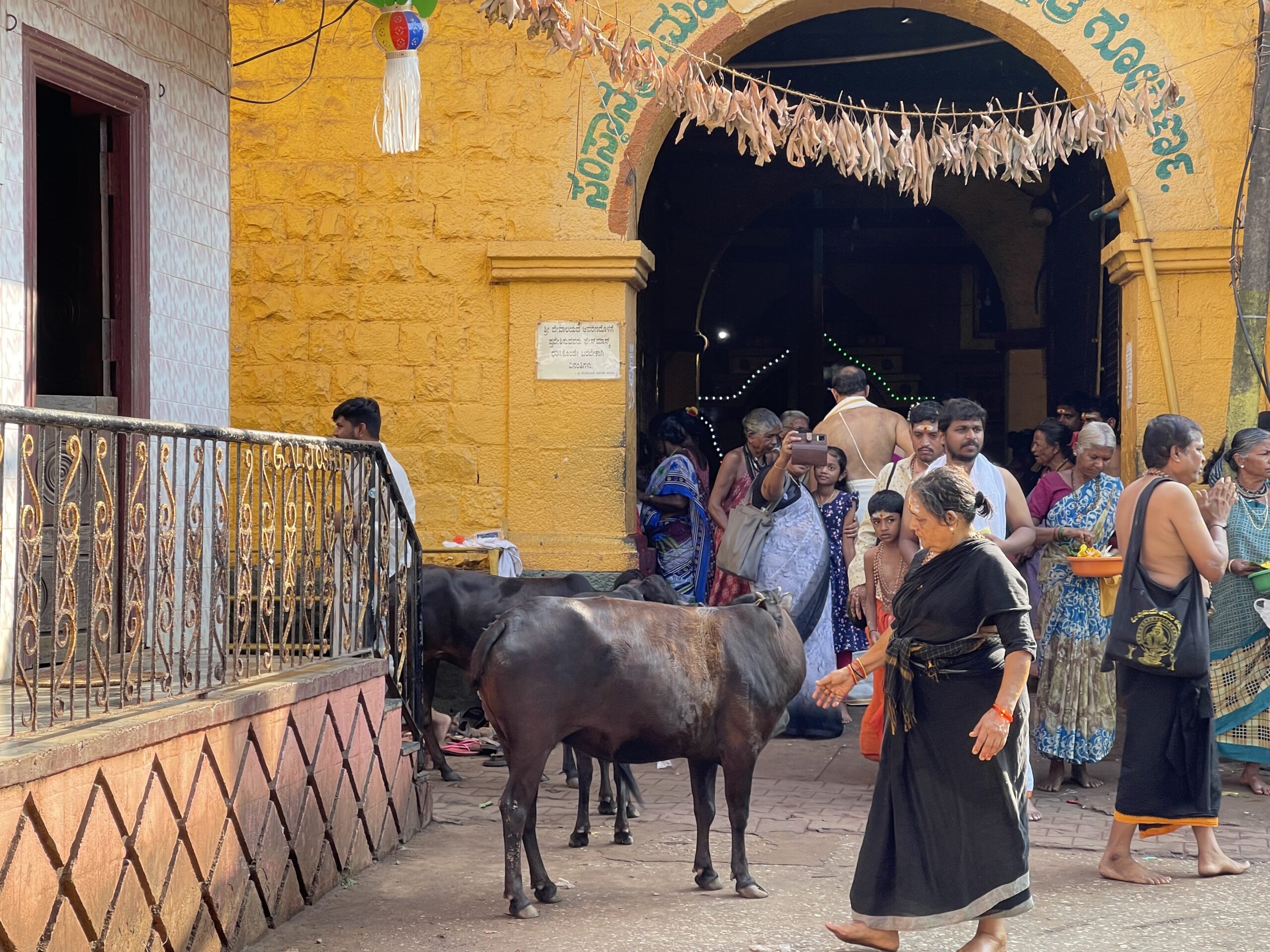 Miten välttää vatsatauti Intiassa? - Malifood Oy